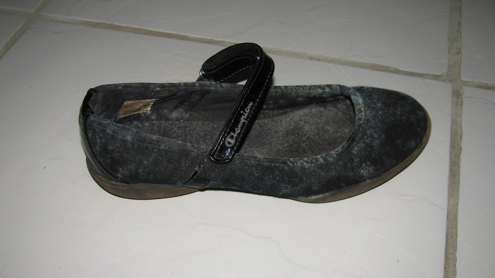 Art Teaching Adventures: Mouldy Things