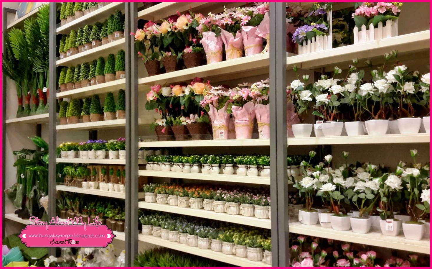 Sweet Rose: CAWANGAN KAISON DI SERI MANJUNG PERAK