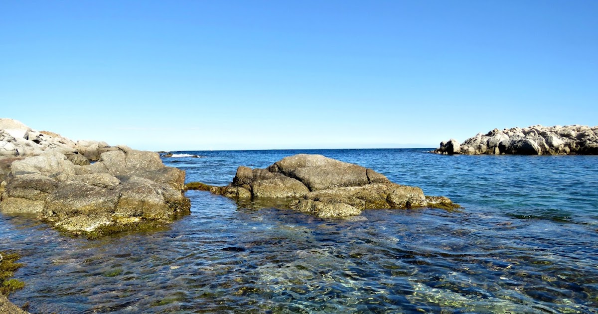 just saying ...: The Octopus's Garden ...