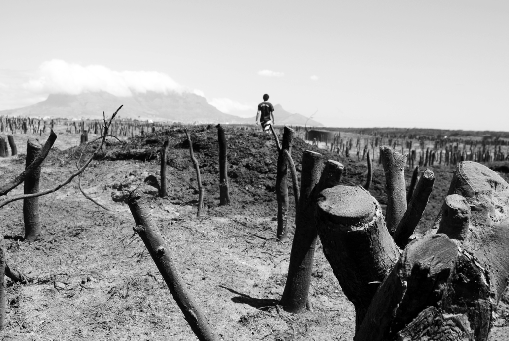 Take Aim - graphic design blog: scorched earth policy