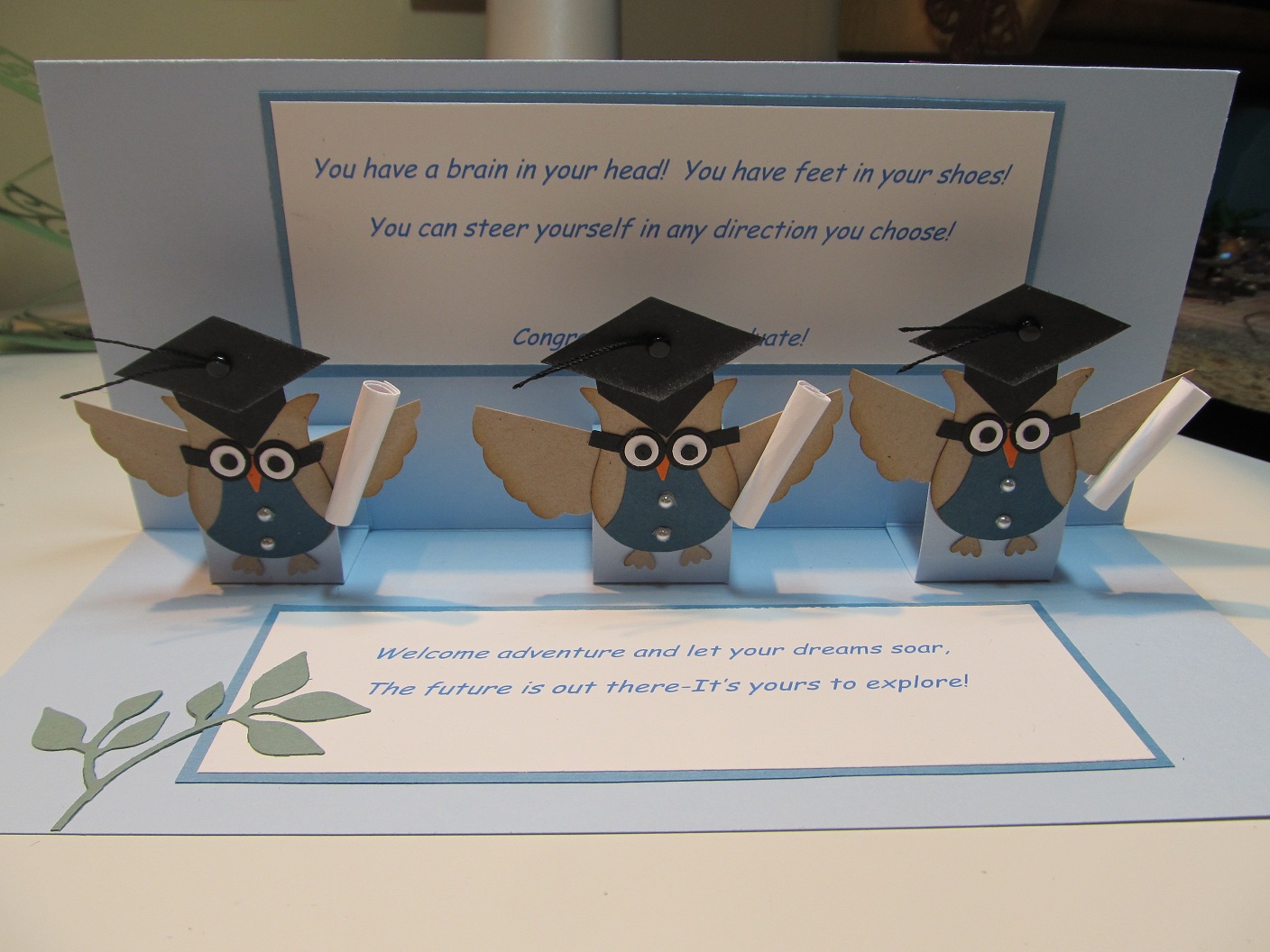 Calla Lily Studio Blog: Graduation Owls