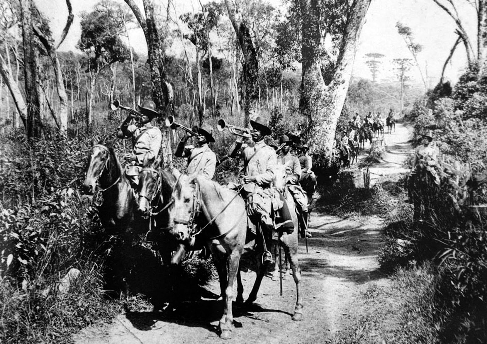 Imagem Da Guerra Do Contestado - FDPLEARN