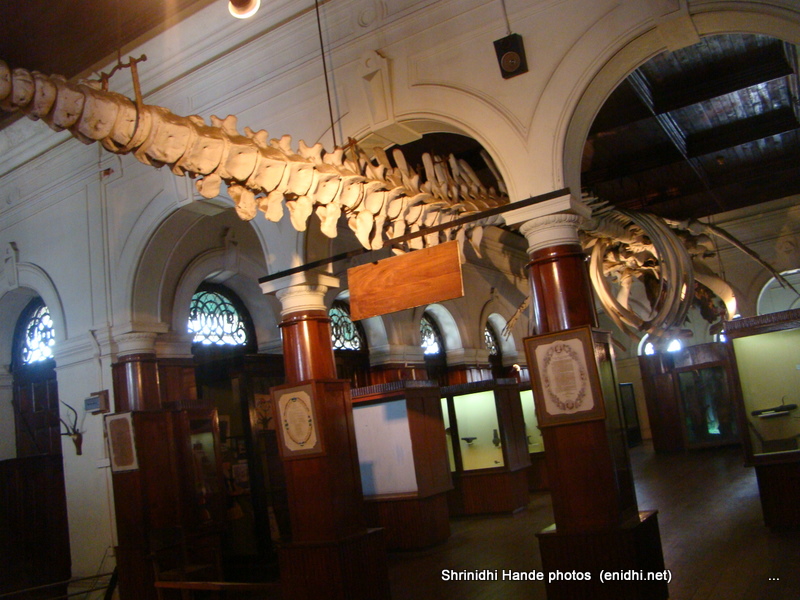 Colombo National Museum, Srilanka - eNidhi India Travel Blog