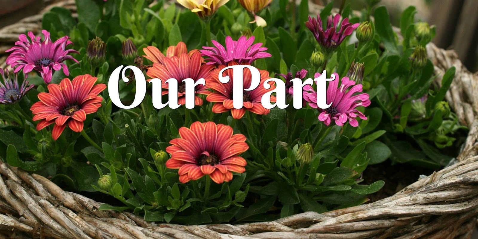 Bible Love Notes: Doing Our Part in