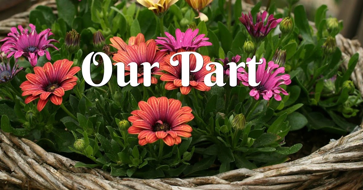 Bible Love Notes: Doing Our Part in