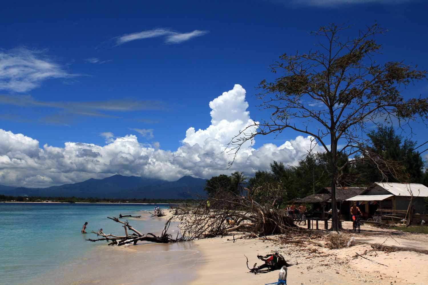 34+ Pemandangan Alam Nusa Tenggara Timur