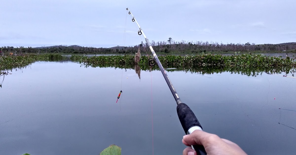 Cari Cara Mancing Ikan Belanak Dengan Resep Umpan Terbaik Super Jitu