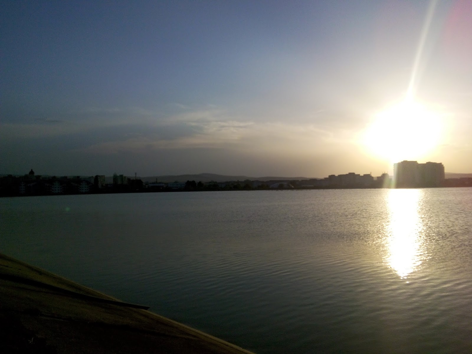 IUBESC NATURA: APUS DE SOARE