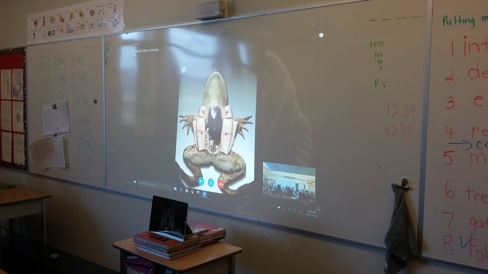 Through A Different Lens: Adventures in Science: Froguts and Bouncy Castles