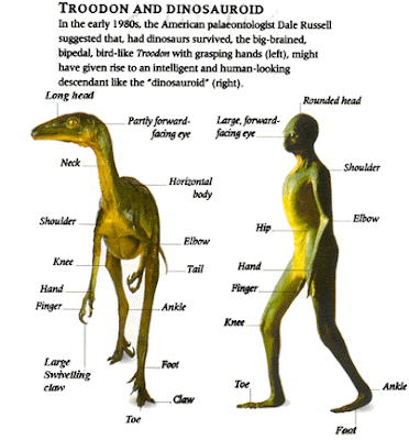 Dinosauroid