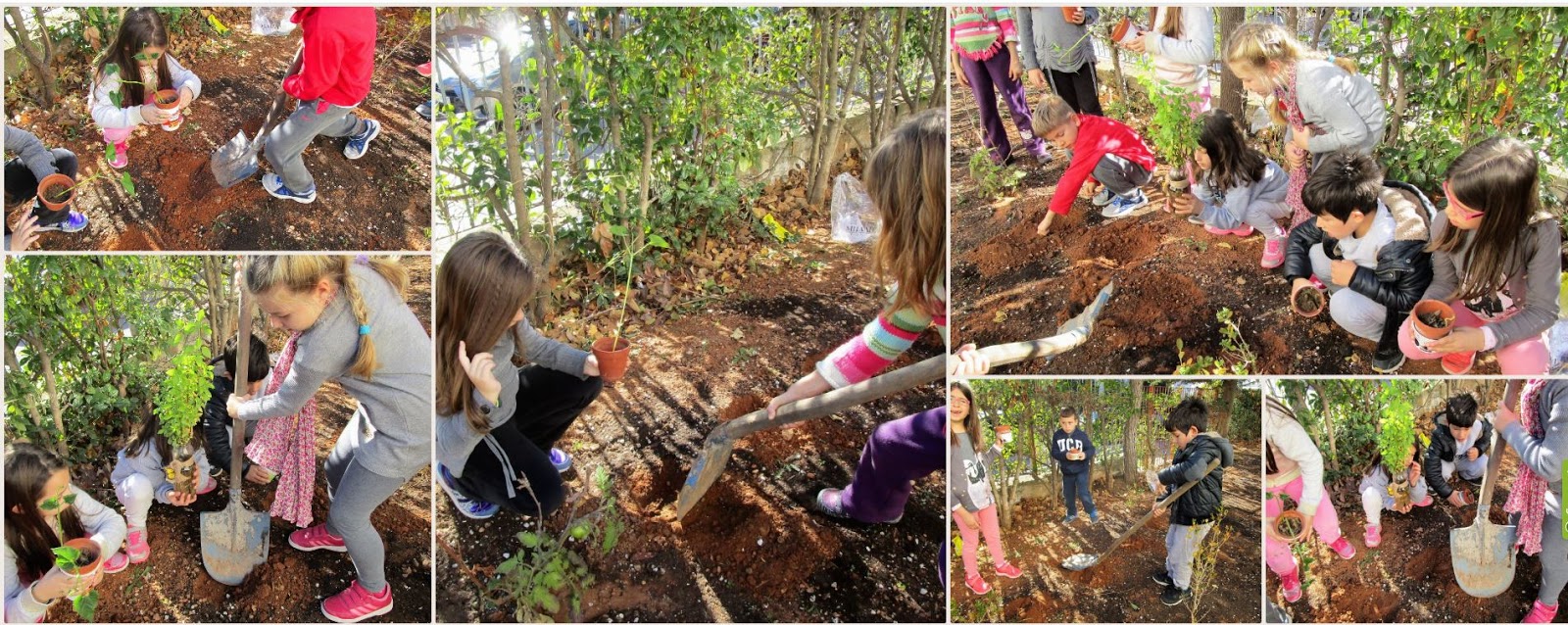 ΣΧΟΛΙΚΟΙ ΚΗΠΟΙ ΒΟΡΕΙΑΣ ΑΘΗΝΑΣ