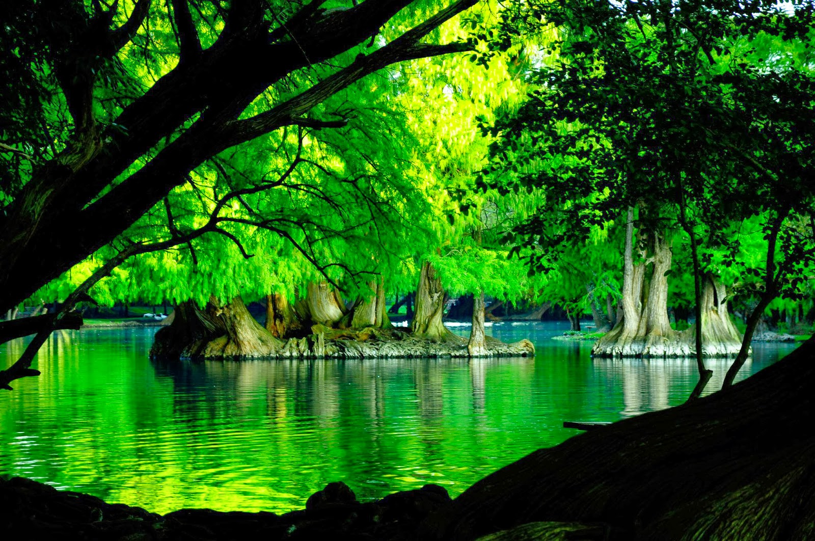 Jaime Ramos Méndez: Lago de Camécuaro, municipio de Tangancícuaro en ...