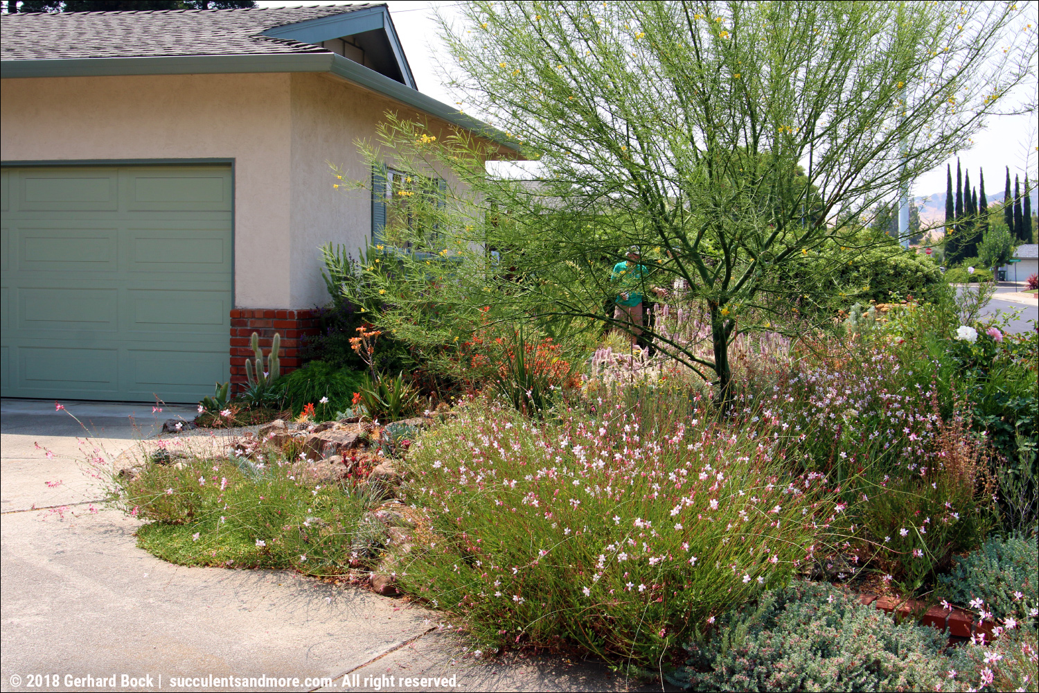 Around the world on 6,000 sq.ft.: Brian's miniature botanical garden