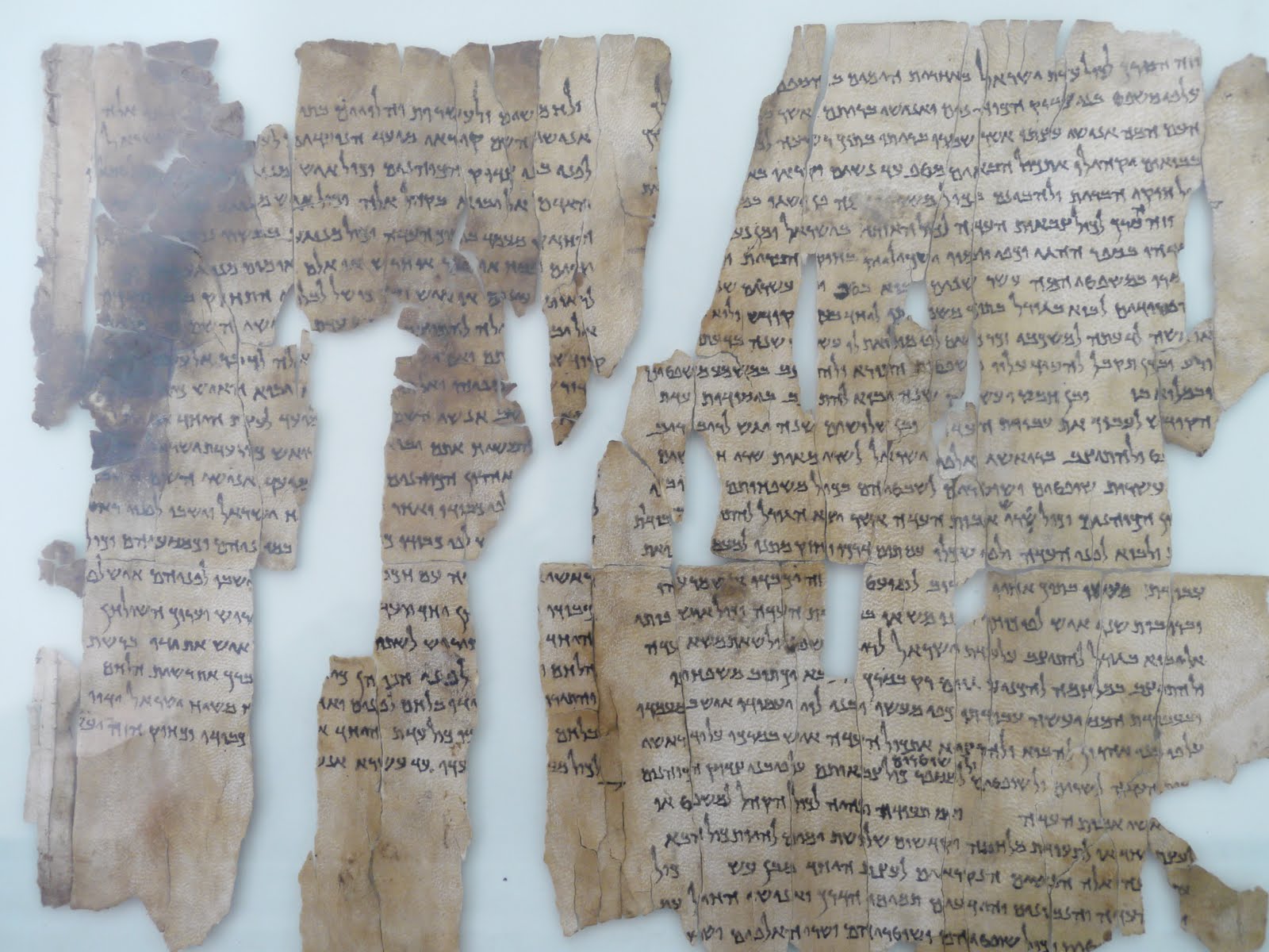 Koide9enisrael: Il y a 70 ans, l'incroyable découverte des manuscrits de la mer Morte