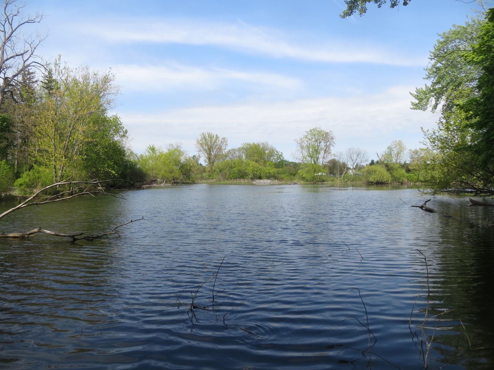 FIELD TRIP: Spring Valley Nature Center, Schaumburg, IL - May 2017