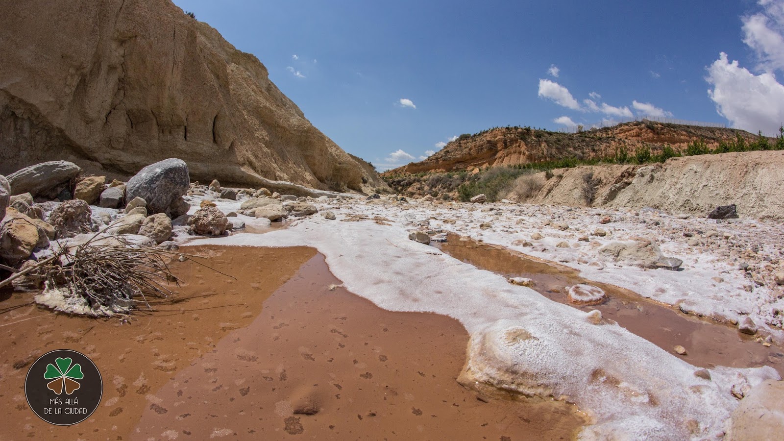 Rambla salada de Albatera (Alicante) | Más allá de la ciudad