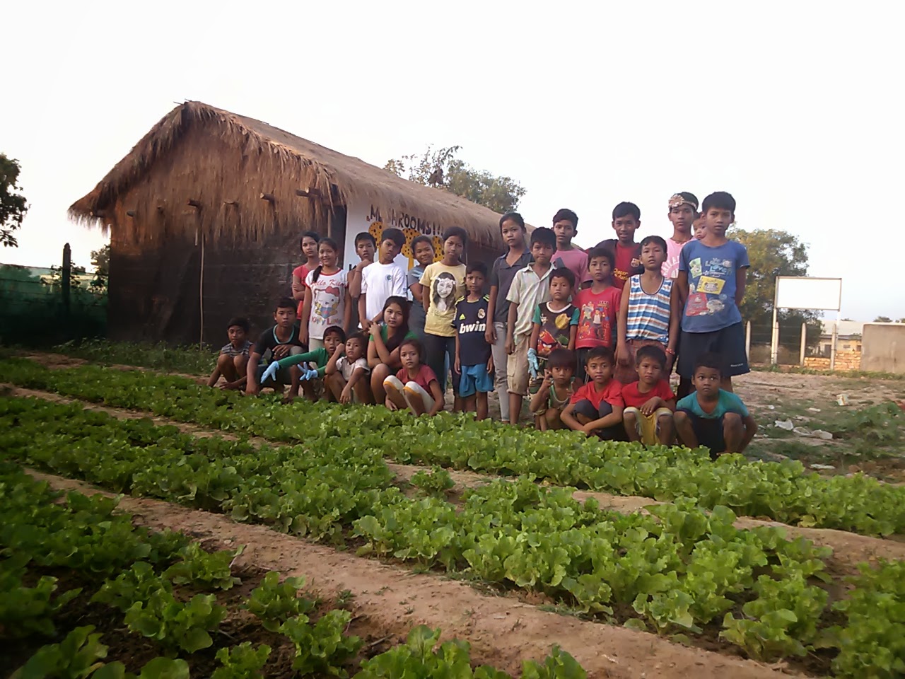 Cambodia's Orphanage : VOLUNTEER