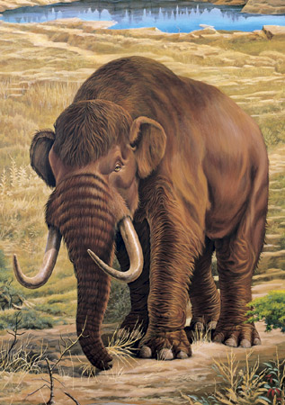 Palaeos, la historia de la Vida en la Tierra: Galería: Mastodonte (y ...