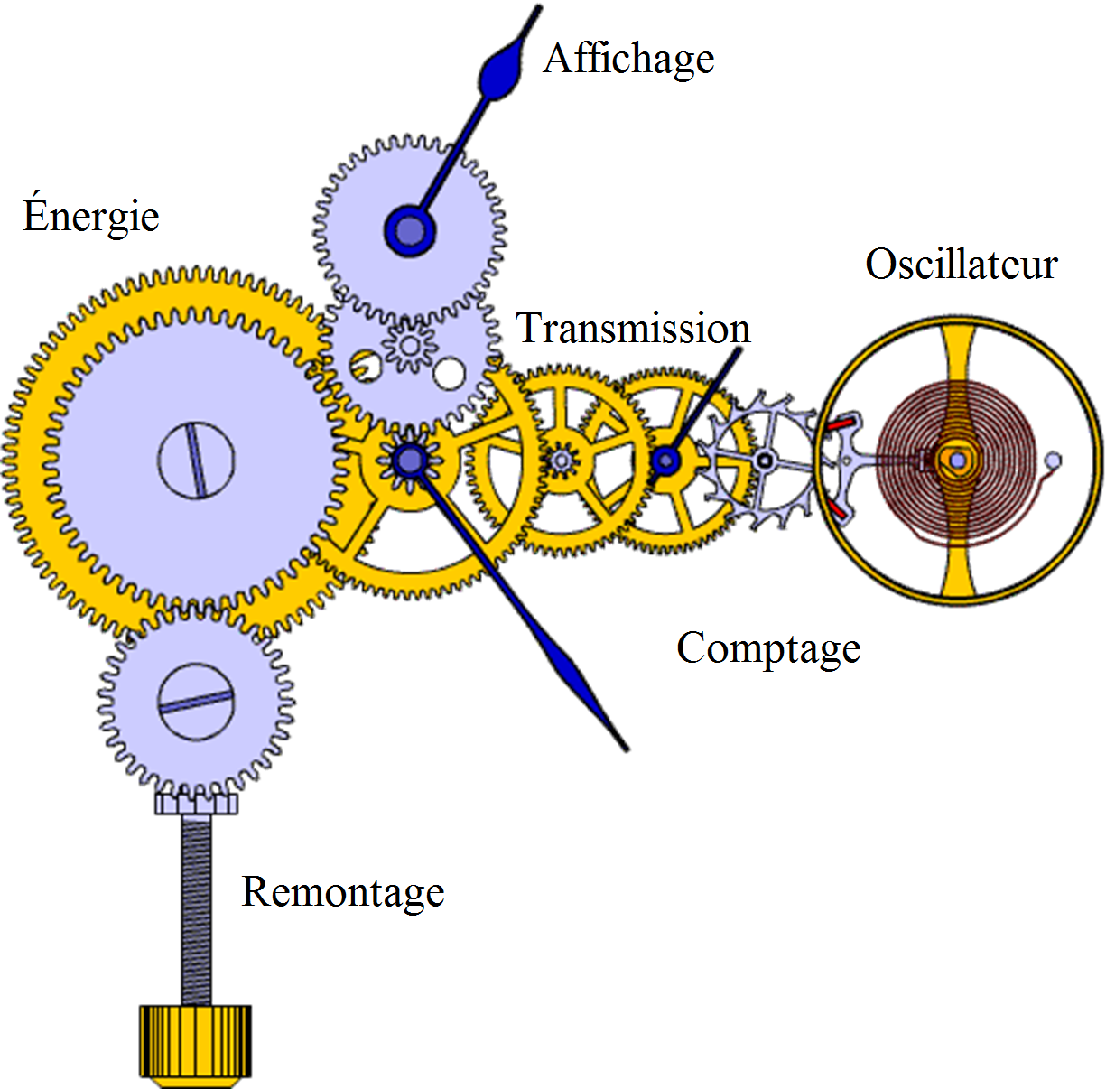 Culture horlogère: Fonctionnement d'un mouvement mécanique simple