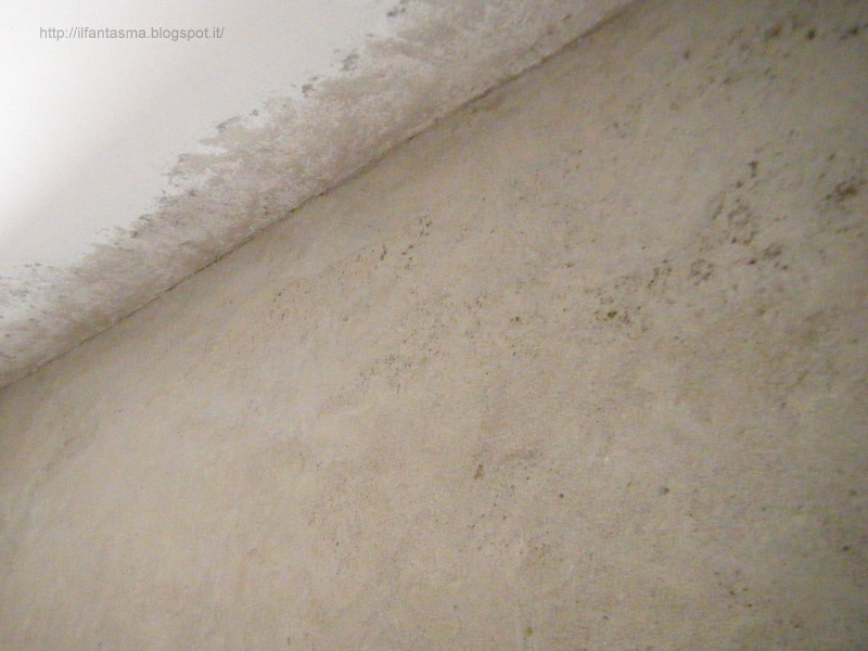 Le avventure della mia fantasia: Pittura a calce contro la muffa sul muro