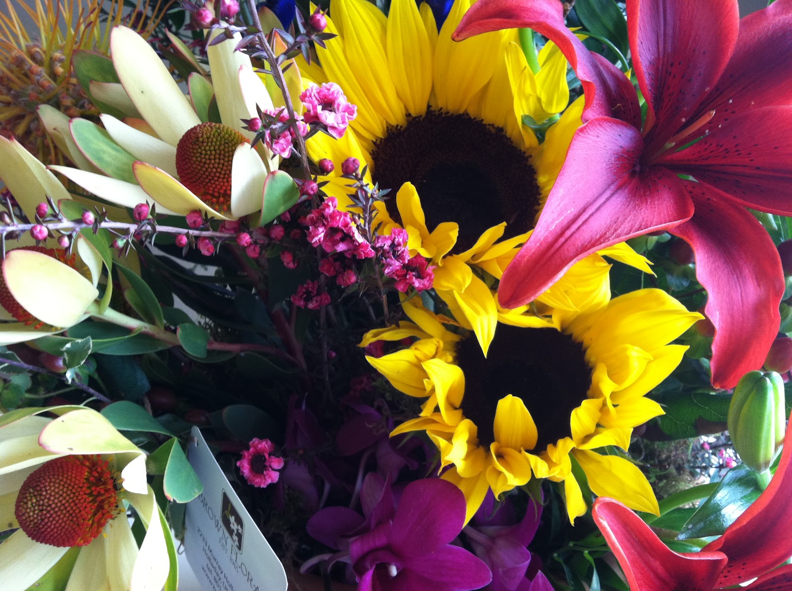 Brown Floral: Celebration