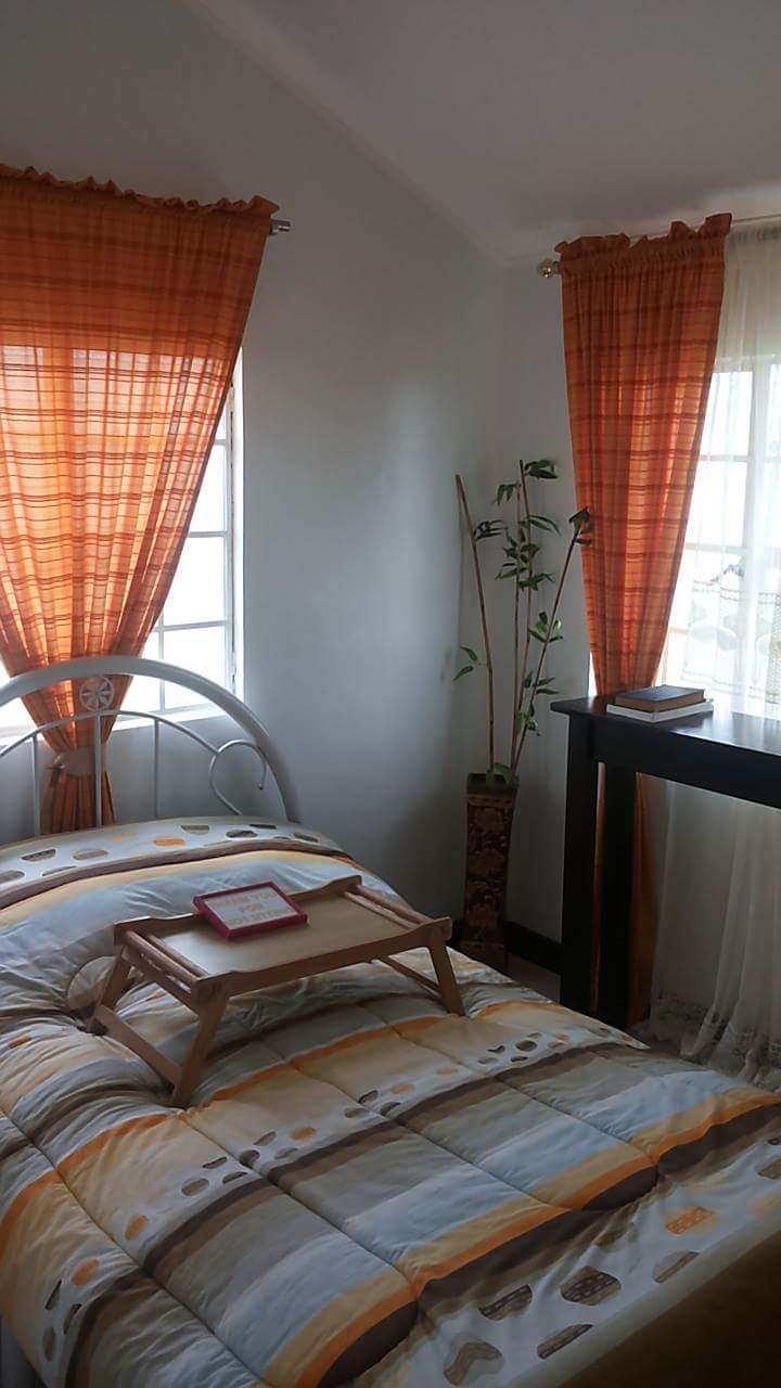 Low Cost Housing in the Philippines: Borland Projects