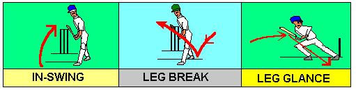TIRUPUR CRICKET ACADEMY: CRICKET TERMINOLOGY