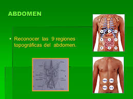 SEMIOLOGÍA QUIRURGICA: EXAMEN DEL TORAX