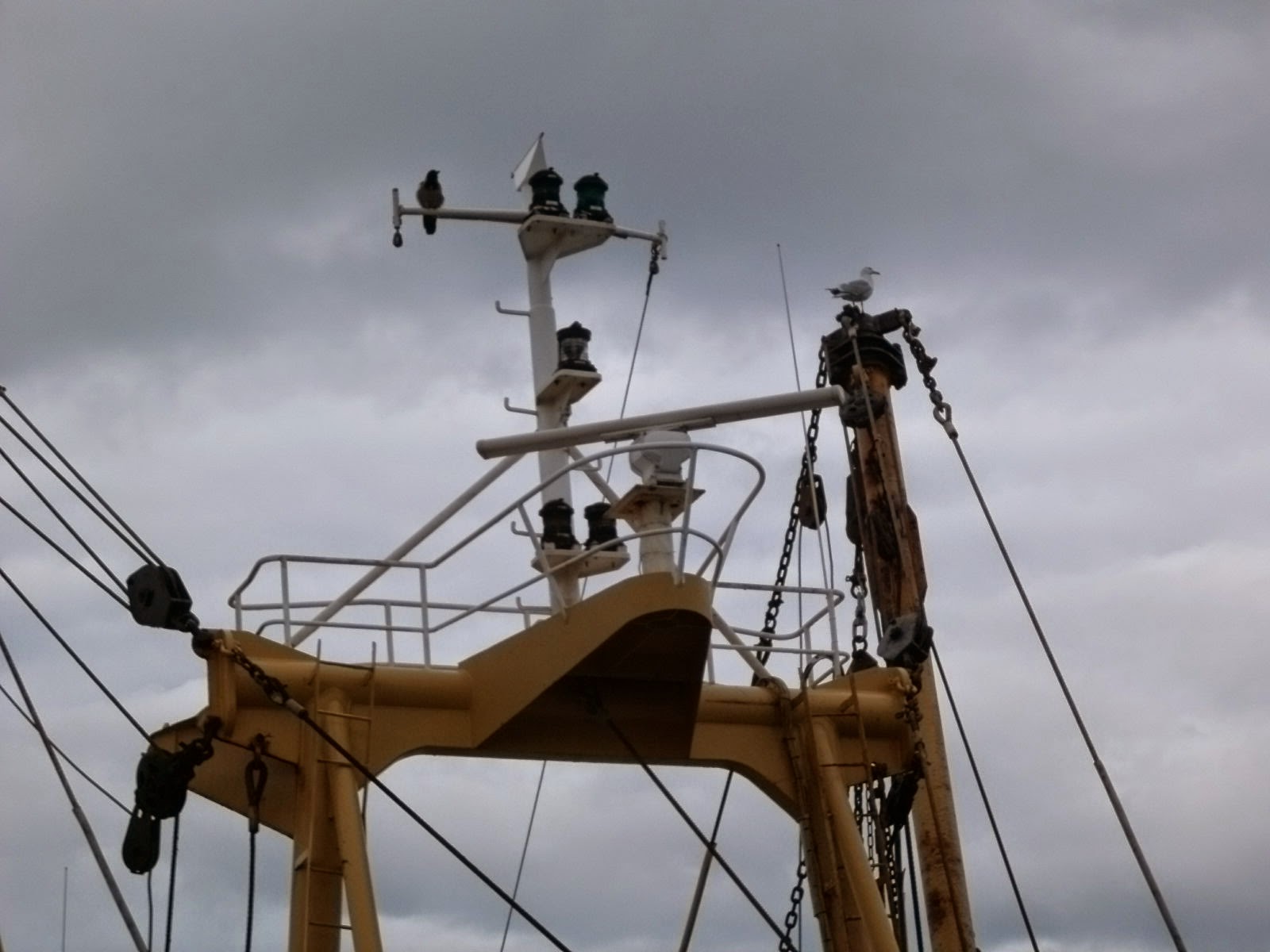 The Scenic West (of Ireland)