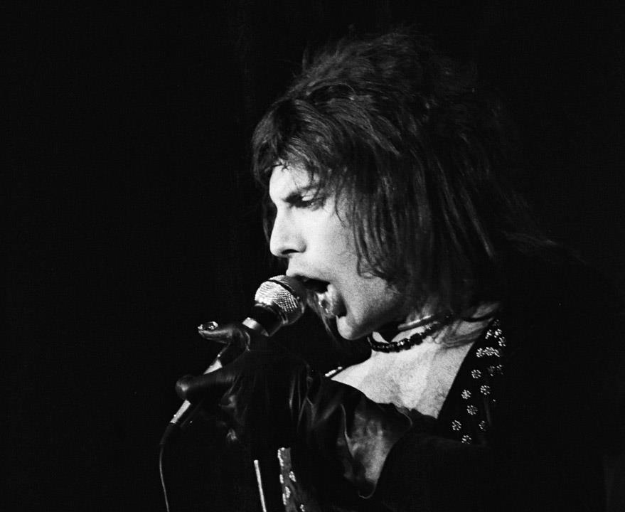 Algo Más Que Rock And Roll : FREDDIE MERCURY