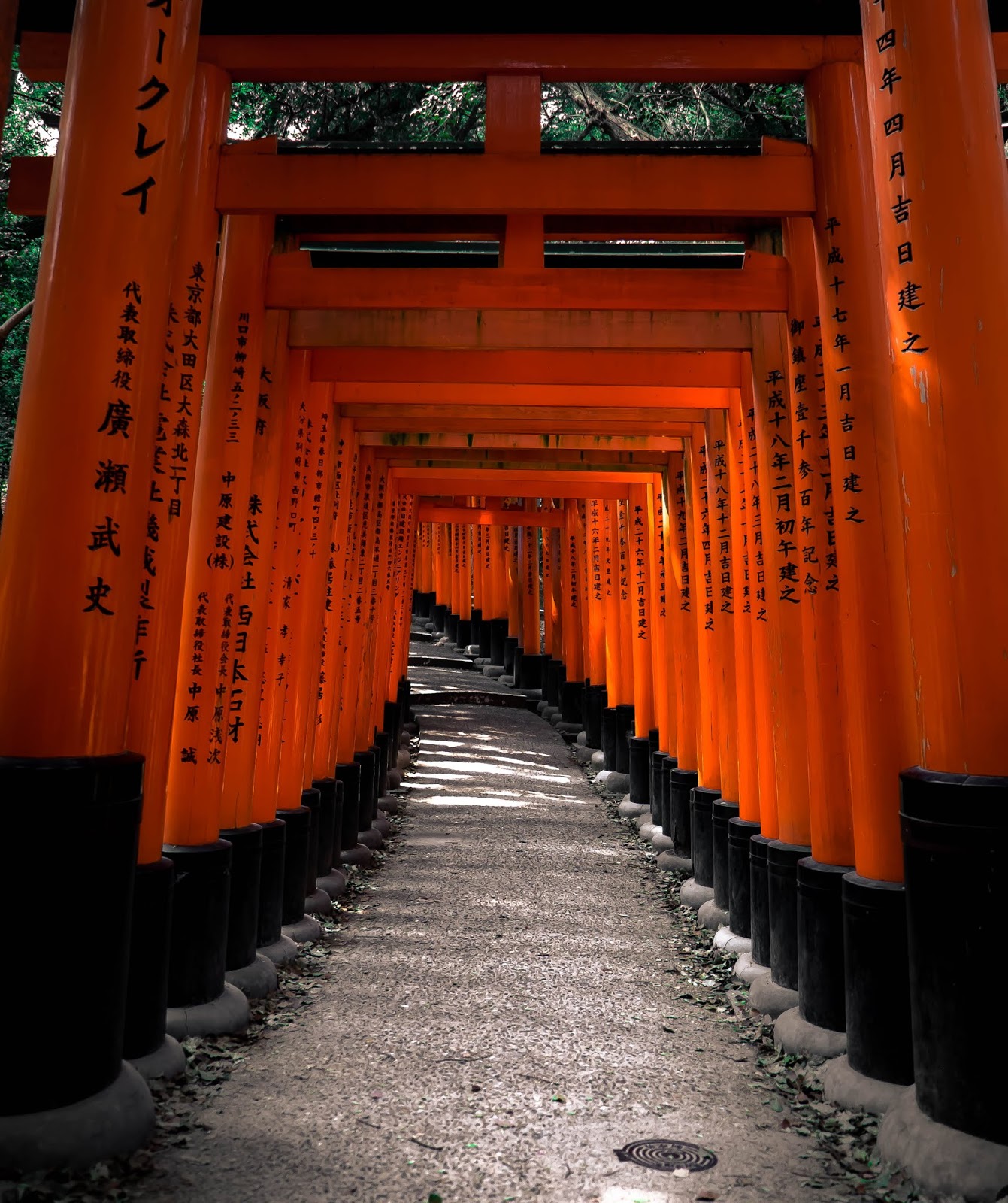 Visit to Fushimi Inari Shrine, Kyoto - Tales of Two