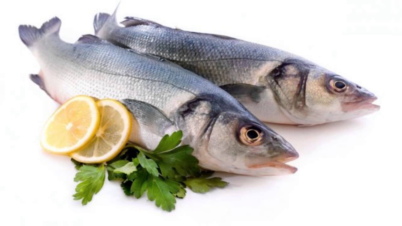 IMAGENES ETHEL: IMÁGENES DE NUTRICIÓN A BASE DE CEREALES INTEGRALES Y ...