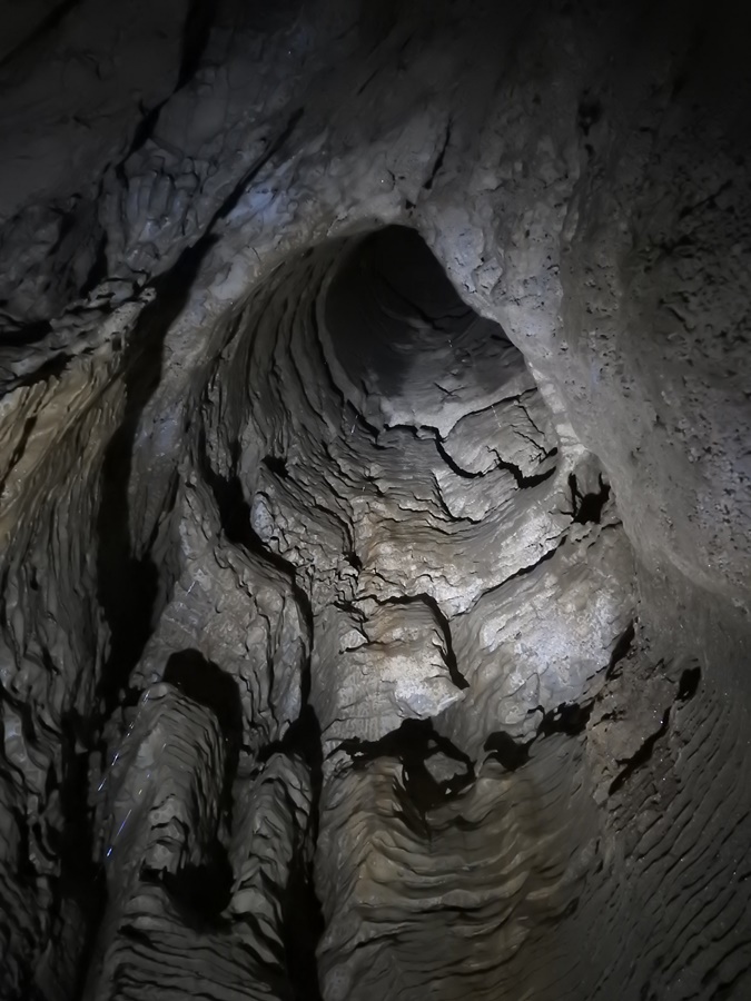 photographing New Zealand: Ruakuri Cave