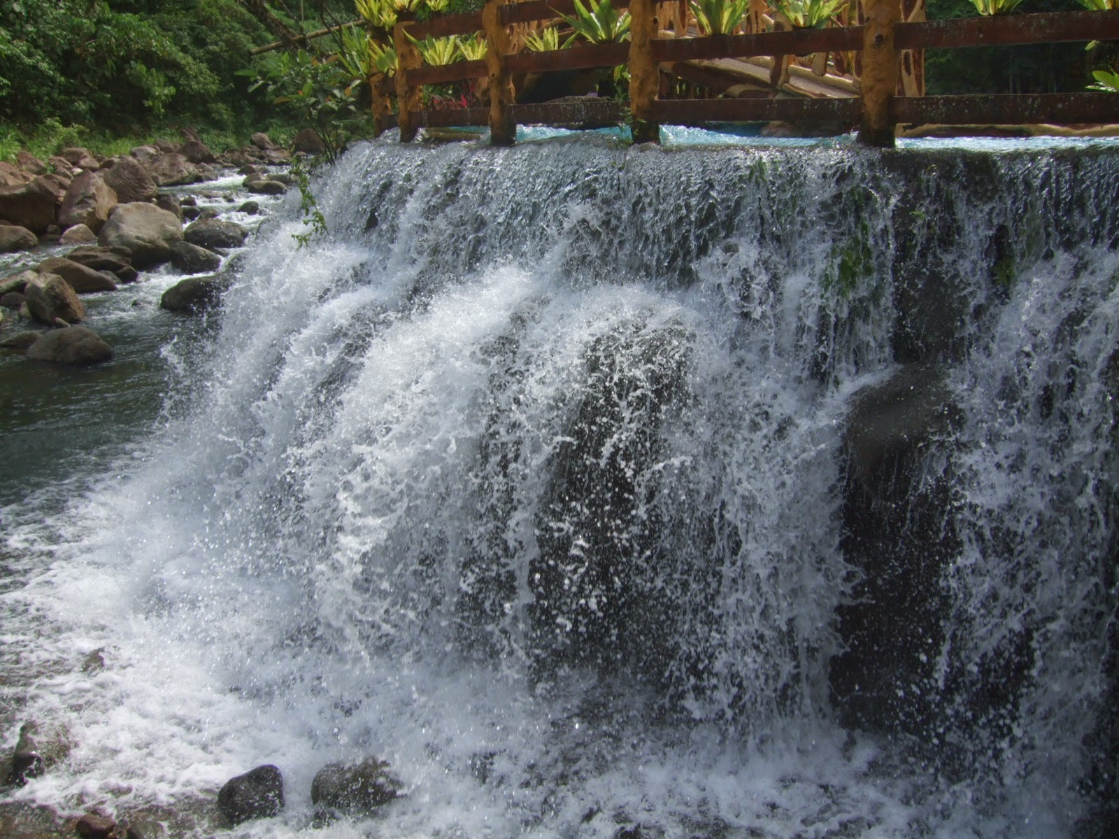 A Trio of Wanderlust Friends: Dalitiwan Resort in Majayjay, Laguna