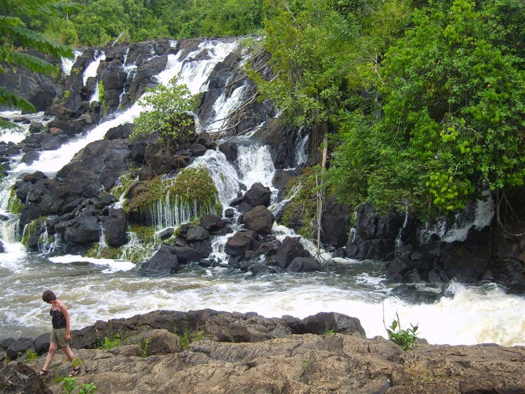 Patrimonio de la Humanidad: Reserva Natural de Surinam Central 2000