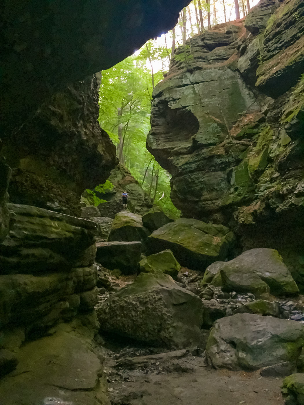 Hiking Through Parfrey's Glen - Merrimac WI
