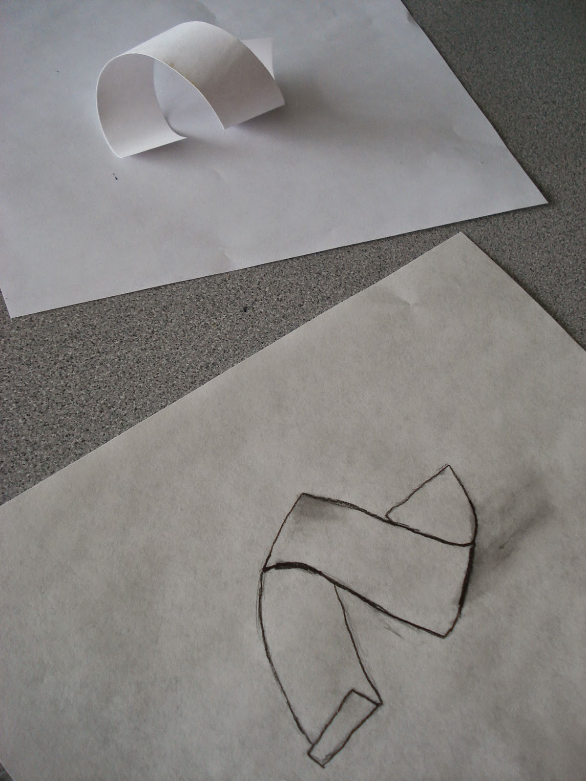 a faithful attempt: Paper Curl Observational Drawing