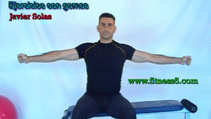 Movimiento del Miembro Superior: Movimiento del Hombro