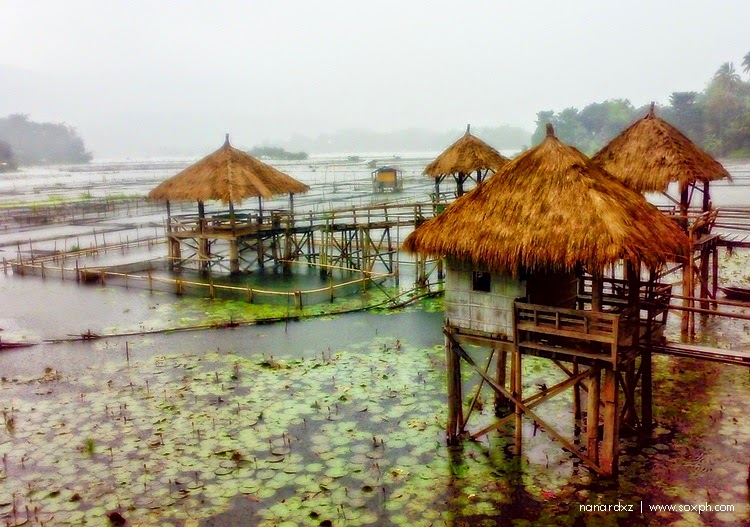 10 Must-Visit Places in SOX (SOCCSKSARGEN) | SOCCSKSARGEN, Philippines ...