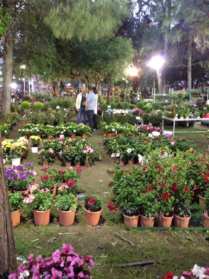 ΕΓΚΑΙΝΙΑΣΤΗΚΕ Η 5η ΑΝΘΟΚΟΜΙΚΗ ΕΚΘΕΣΗ ΤΗΣ ΚΑΛΑΜΑΤΑΣ ΣΤΟ ΔΗΜΟΤΙΚΟ ΠΑΡΚΟ ...