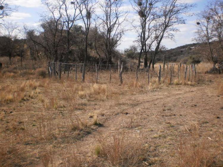 Restauración de la República Argentina en Unión y Libertad: Diagonal Árida