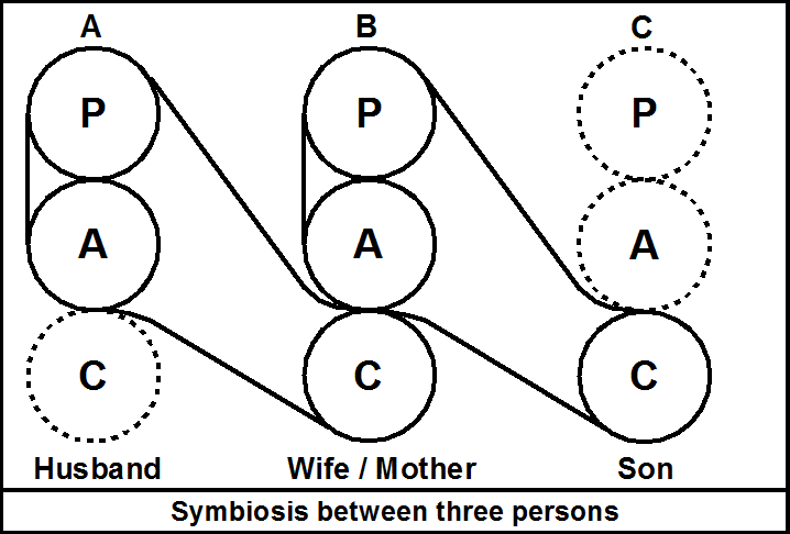 Transactional Analysis Theory and Practice: Transactional Analysis ...