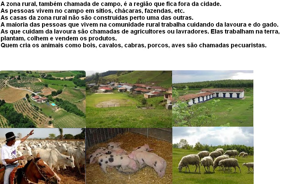 EDUCAR É AMAR: Ens. Fund. Geografia - Zona Rural