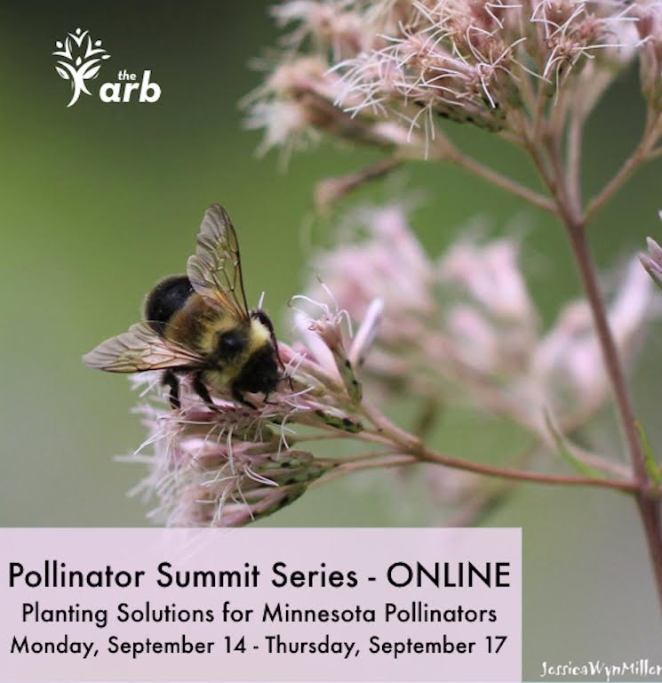 Wild Ones Twin Cities Minnesota: Native Plant Signs