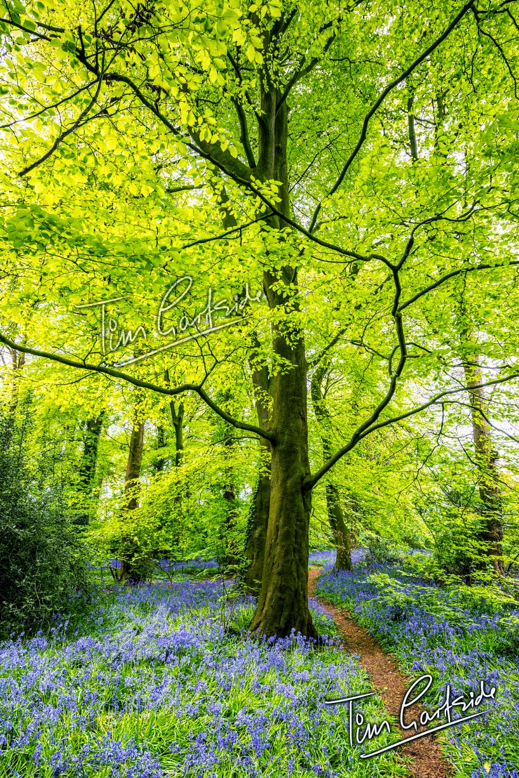 Tim Gartside Photography Workshop Blog