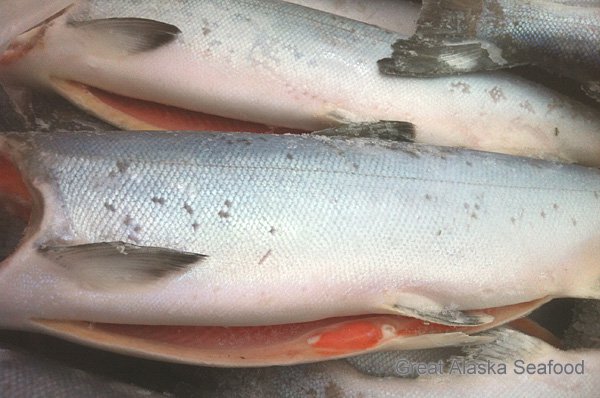 CHEF Q: Fish Cutting Method