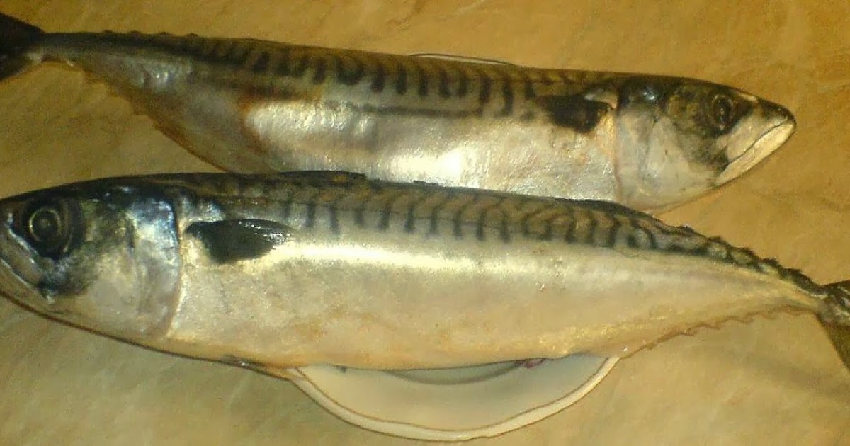 Macrou la cuptor in hartie de copt | Preparatedevis.ro