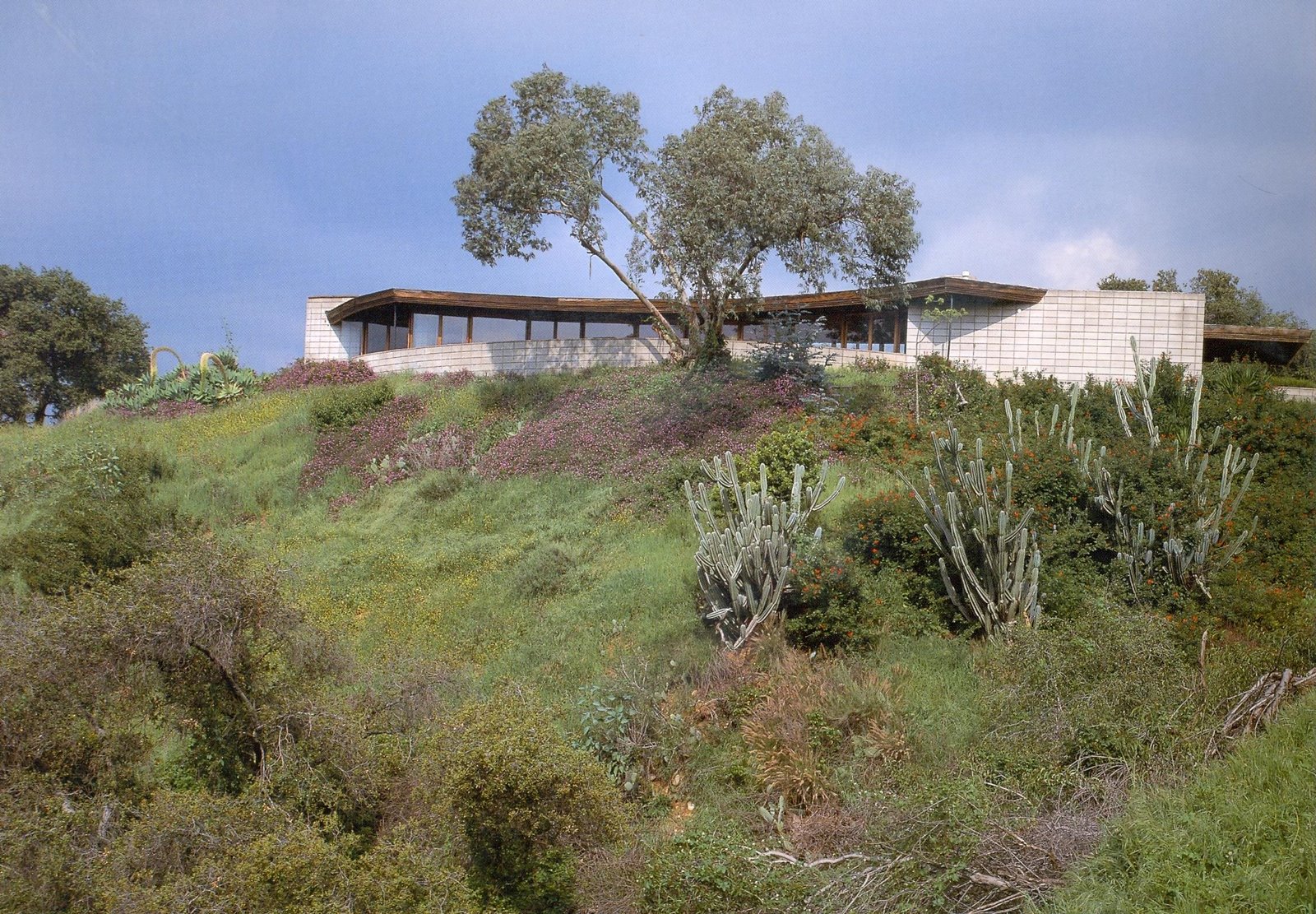 Instant House: Solar Hemicycle Usonian Homes