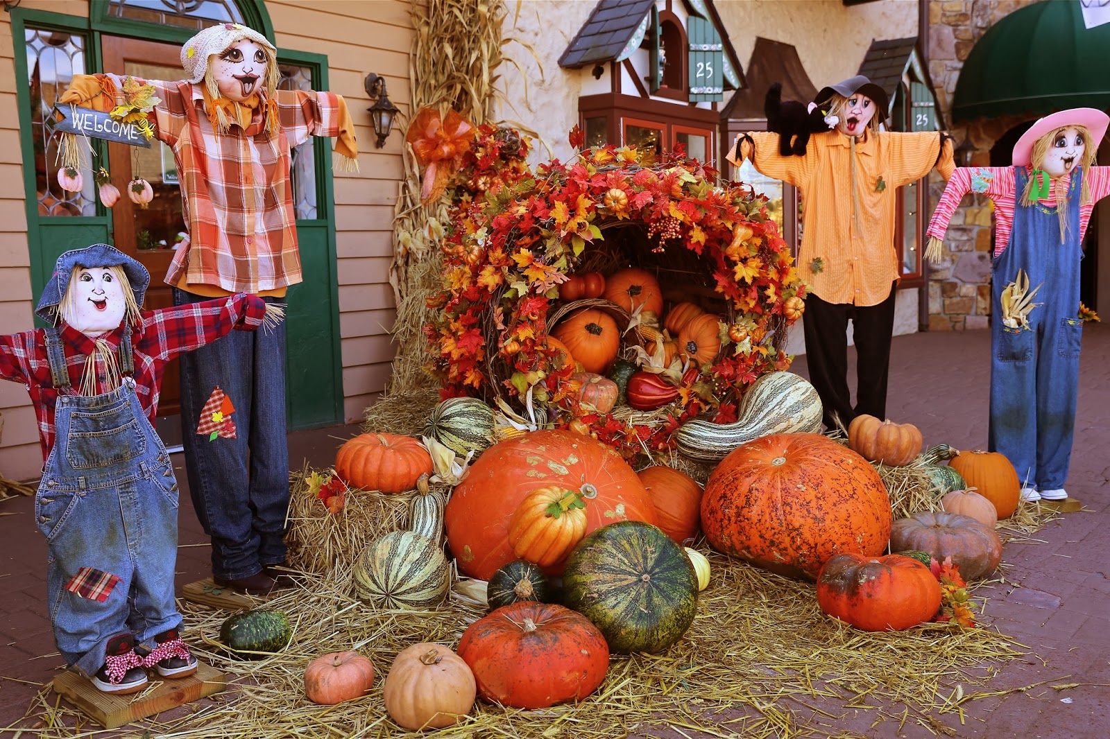 Sweet Southern Days: Fall in the Foothills Parkway, Pigeon Forge and ...