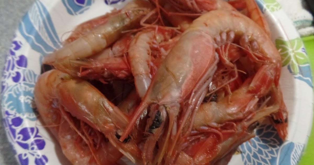 Blue Starr Gallery: Royal Reds